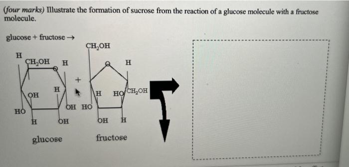 Solved (four marks) Illustrate the formation of sucrose from | Chegg.com