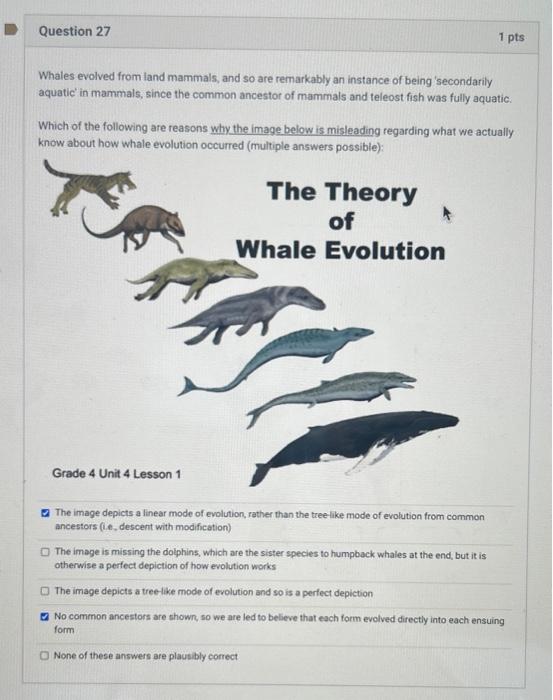Solved Whales evolved from land mammals, and so are | Chegg.com