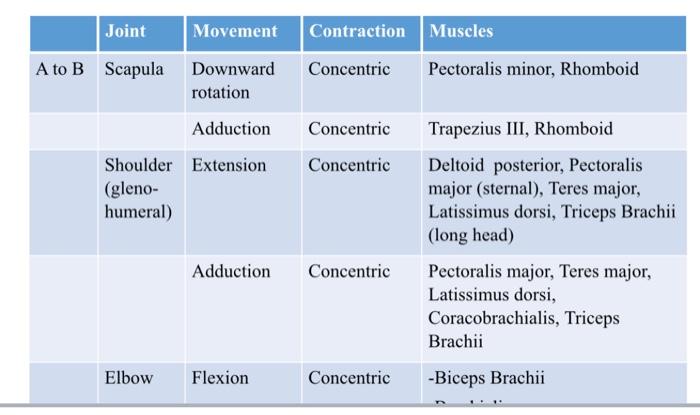 Solved please do a movement analysis of the hip joint of the | Chegg.com