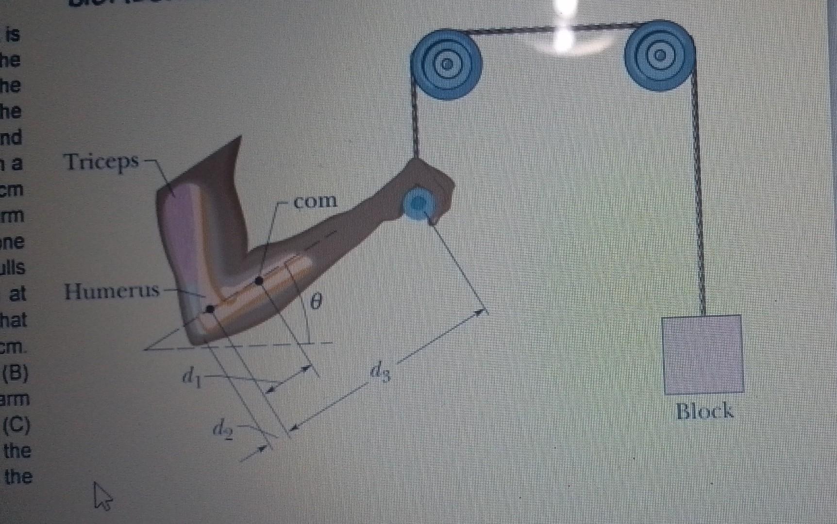 Solved Draw a free body diagram | Chegg.com