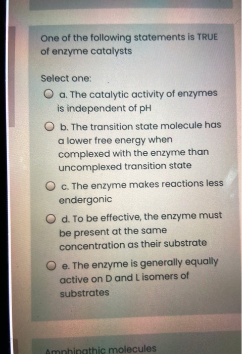 Solved One of the following statements is TRUE of enzyme | Chegg.com