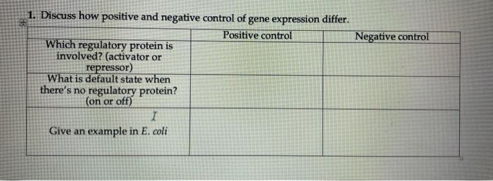 Solved 1. Discuss how positive and negative control of gene | Chegg.com