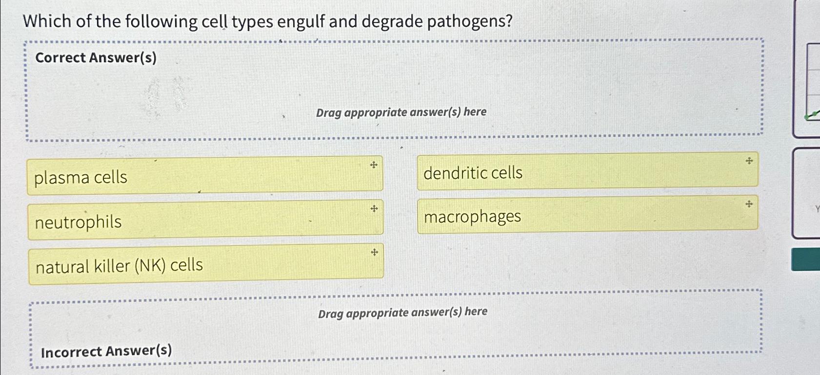 Solved Which of the following cell types engulf and degrade | Chegg.com