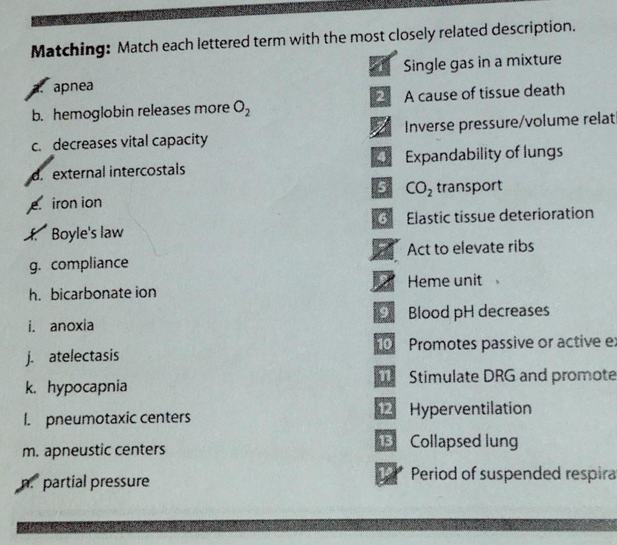 Solved Matching: Match each lettered term with the most | Chegg.com