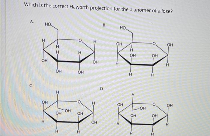 Solved Which is the correct Haworth projection for the a | Chegg.com