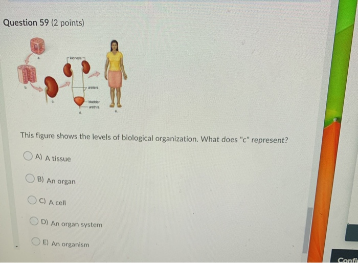 solved-ion-59-2-points-uretha-this-figure-shows-the-chegg