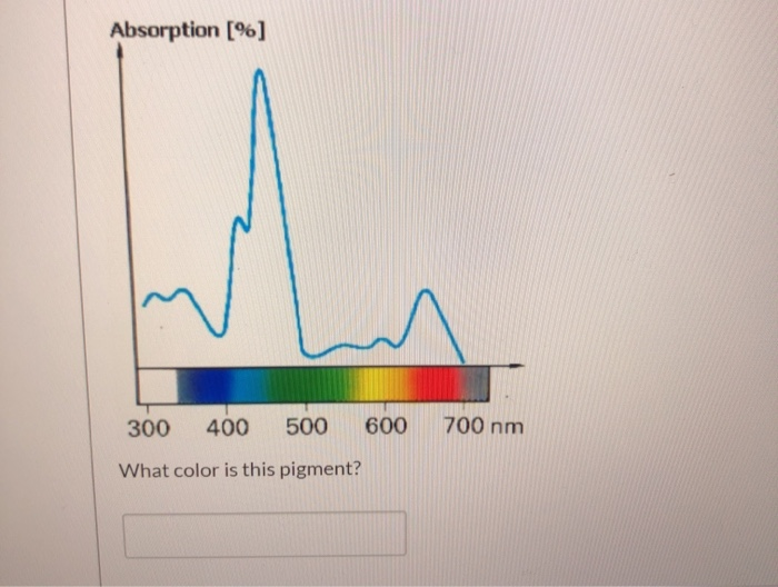 Solved Absorption [%] 700 nm 300 400 500 600 What color is | Chegg.com