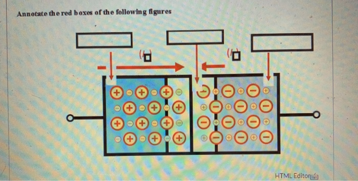 Solved Annotate the red boxes of the following figures + | Chegg.com