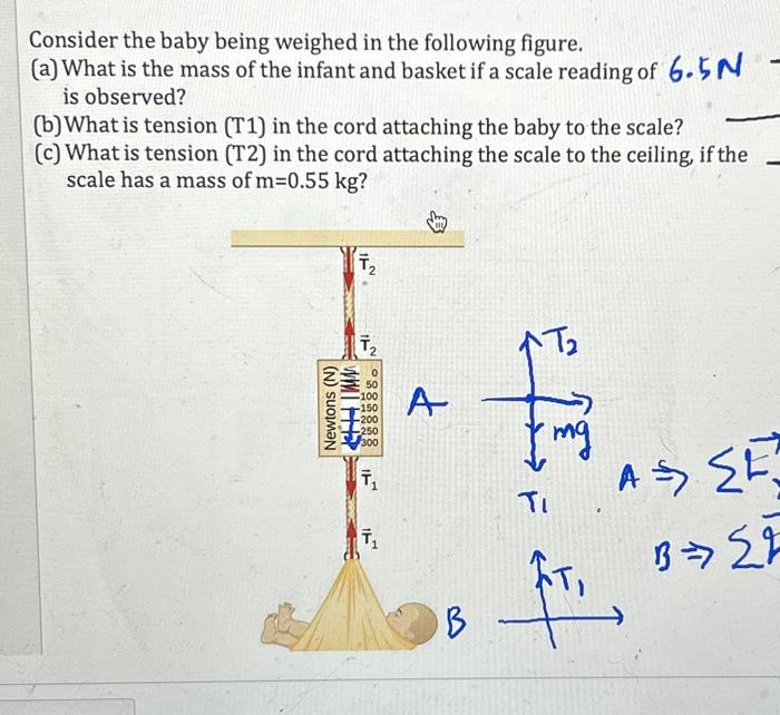 Solved please refer to photo.Consider the baby being weighed | Chegg.com