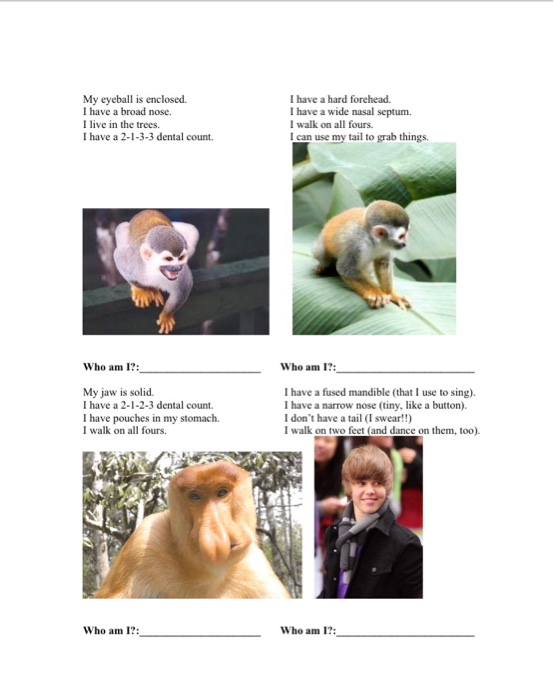 Solved PRIMATES: WHO AM I? Use your primate chart to | Chegg.com