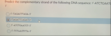 Solved Predict the complementary strand of the following DNA | Chegg.com