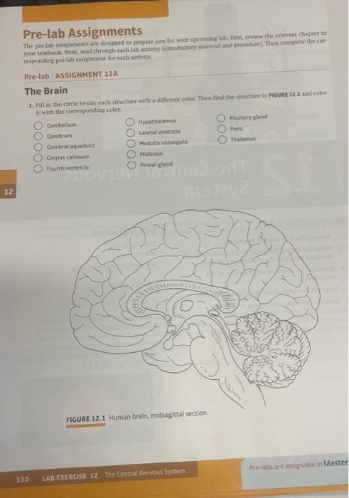 Solved Pre-lab Assignments The gre-lab assignaments are | Chegg.com