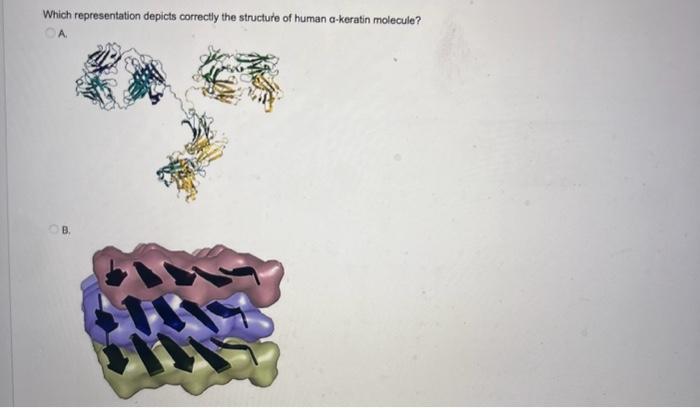 Solved Which representation depicts correctly the structure | Chegg.com