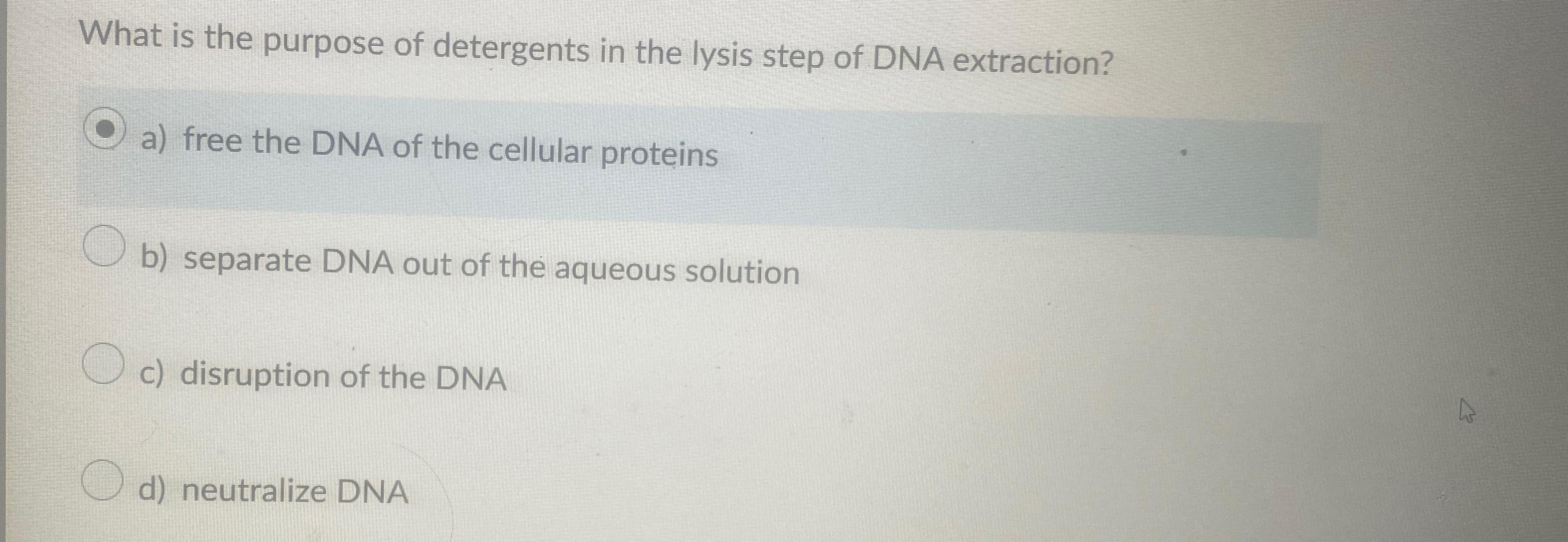 Solved What is the purpose of detergents in the lysis step | Chegg.com