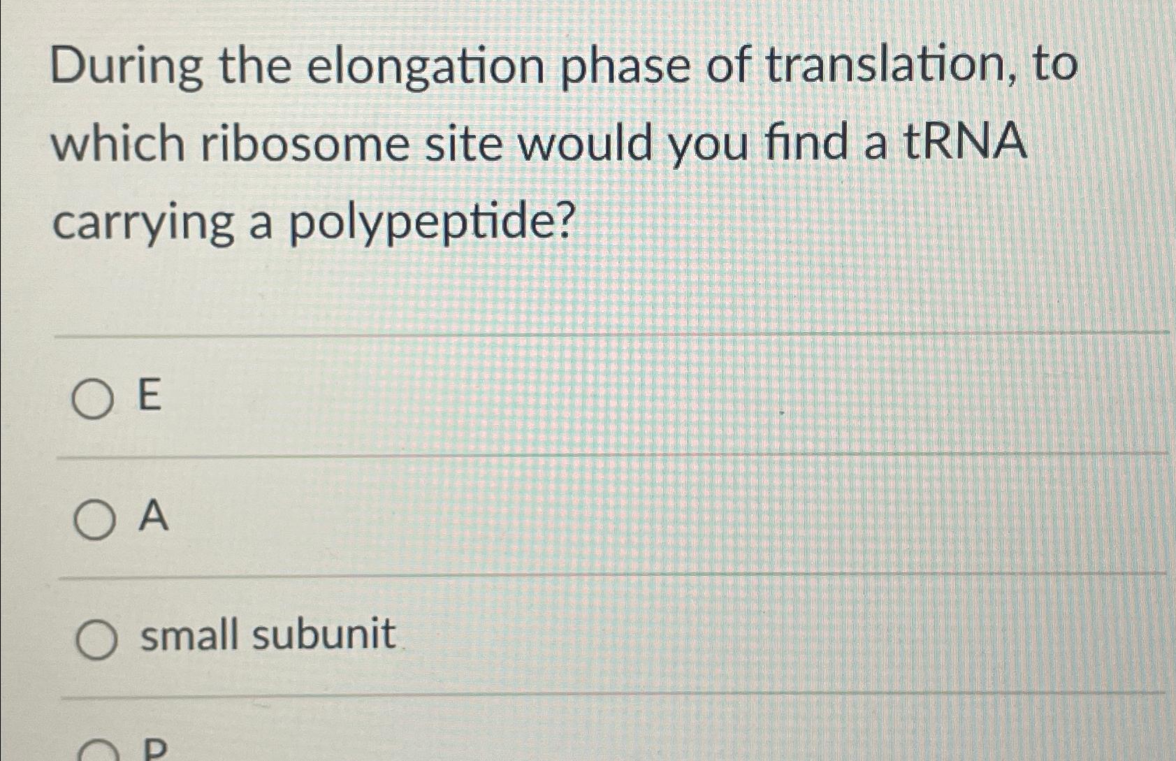 Solved During the elongation phase of translation, to which | Chegg.com