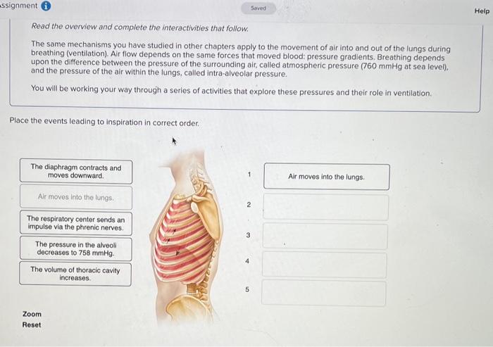 Solved Read the overview and complete the interactivities | Chegg.com