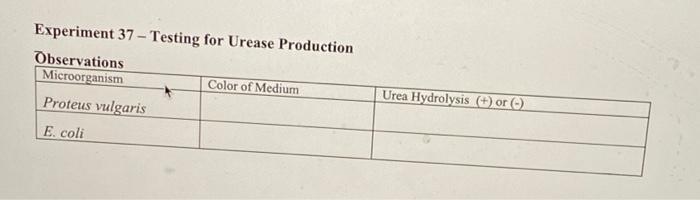 Solved EXPERIMENT 37 - Testing for Urease Production | Chegg.com