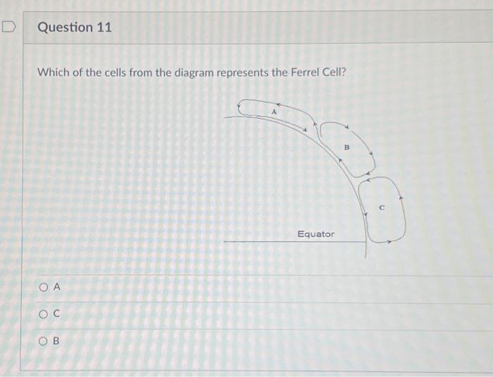 Solved Question 11 Which of the cells from the diagram | Chegg.com
