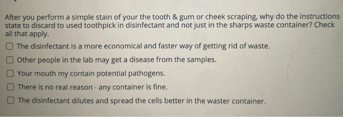 Solved After you perform a simple stain of your the tooth & | Chegg.com