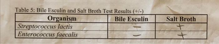Solved 2. How do your bile esculin and salt broth test | Chegg.com
