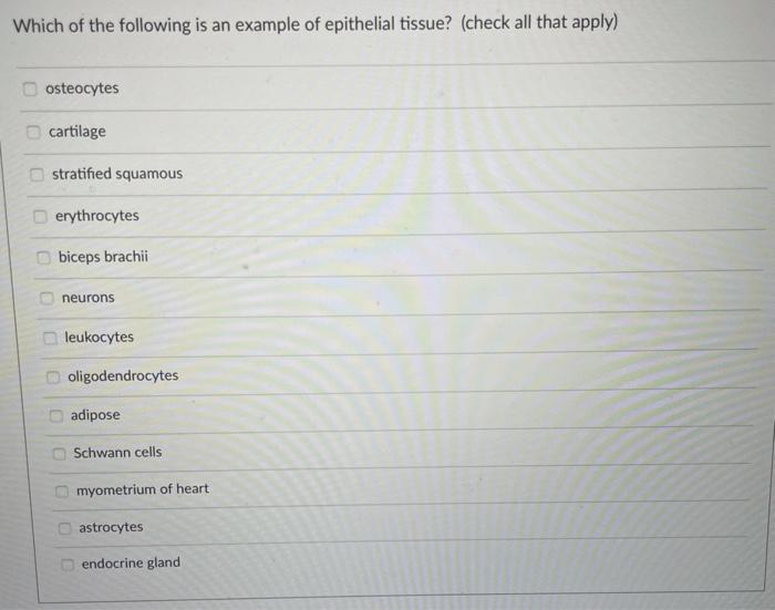Solved Which of the following is an example of connective | Chegg.com