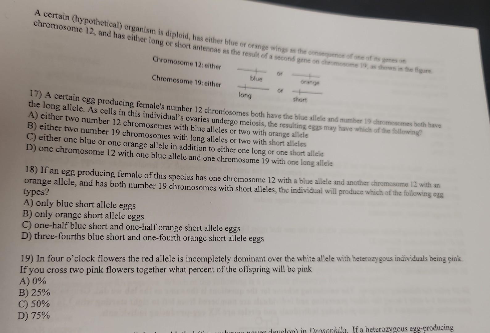 Solved A certain (hypothetical) organism is diploid, has | Chegg.com