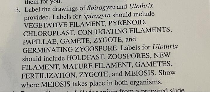 Solved GREEN ALGAE ASEXUAL SEXUAL ULOTHRIX 133 GREEN ALGAE | Chegg.com