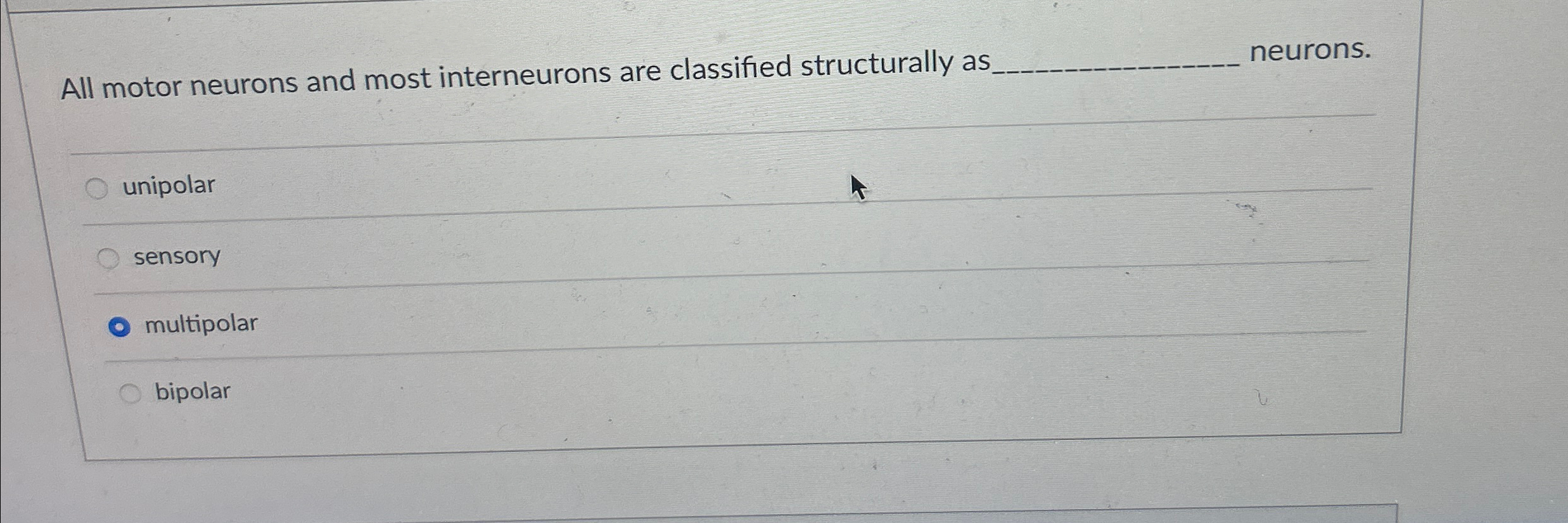 Solved All motor neurons and most interneurons are | Chegg.com