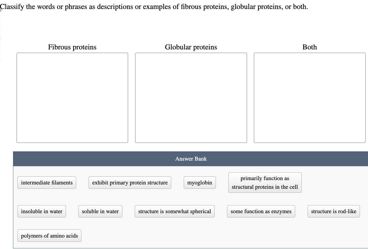 Solved Classify the words or phrases as descriptions or | Chegg.com