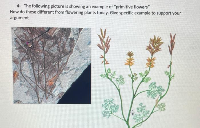 Solved 4- The following picture is showing an example of | Chegg.com