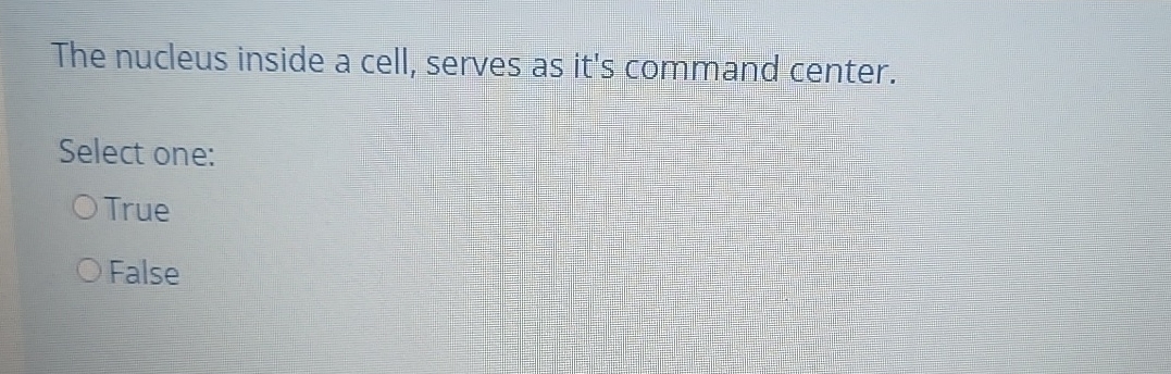 The nucleus inside a cell, serves as it's command | Chegg.com