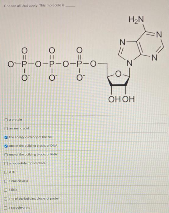 Solved Choose all that apply. This molecule is H2N N Z: N о | Chegg.com