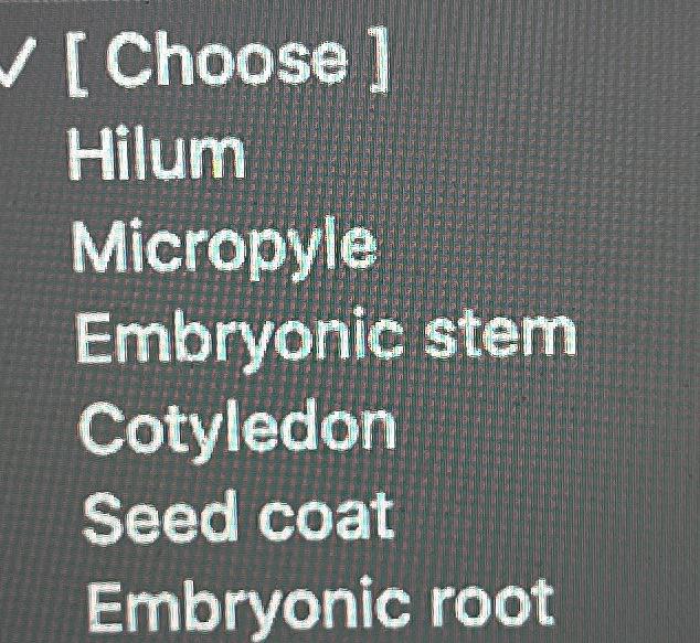 Solved Match the part of the seed to its function. Hilum | Chegg.com
