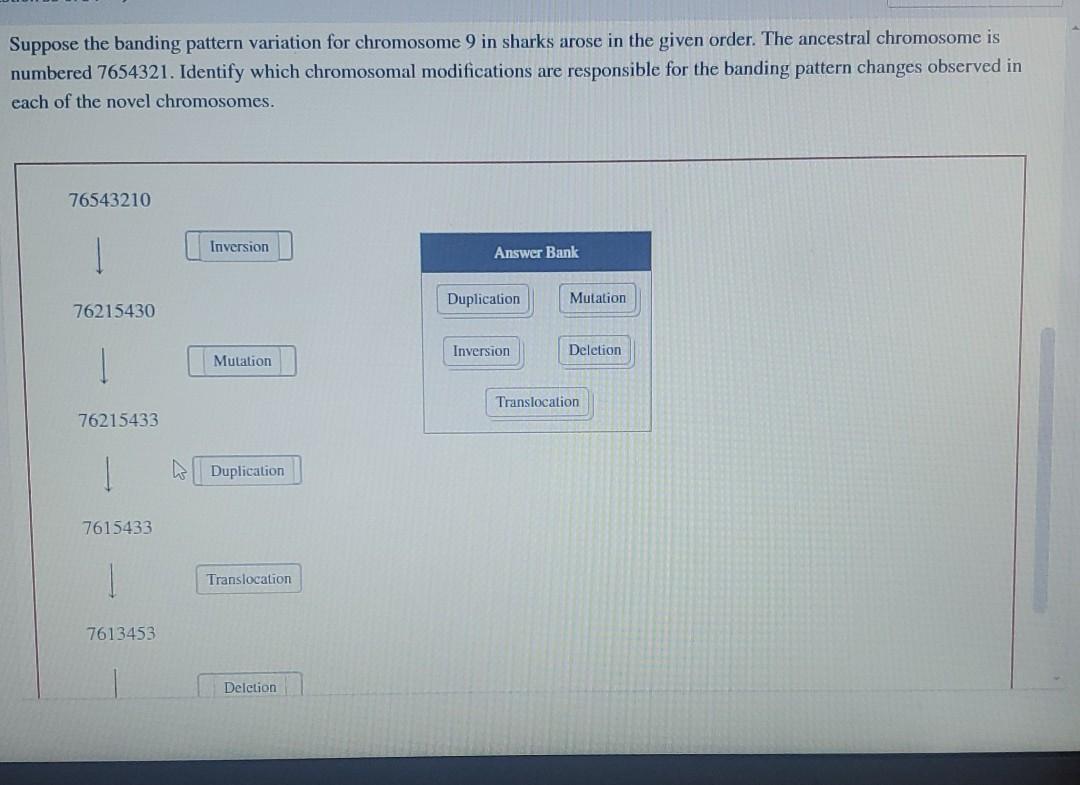 Solved Suppose the banding pattern variation for chromosome | Chegg.com
