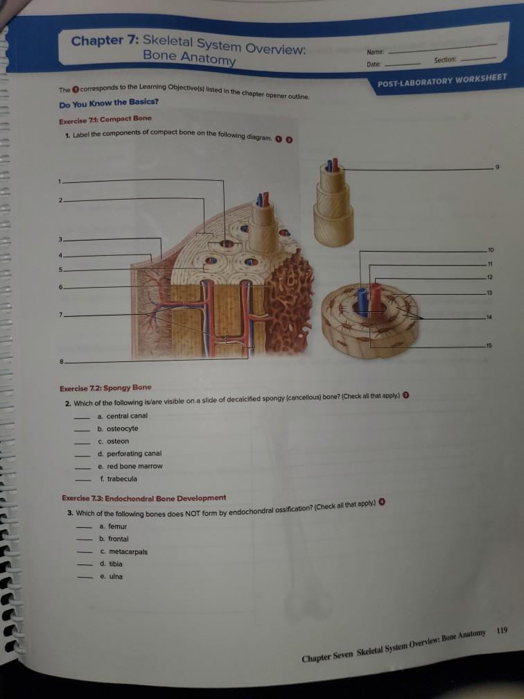 Solved The corresponds to the Learning Objectives) listed in | Chegg.com