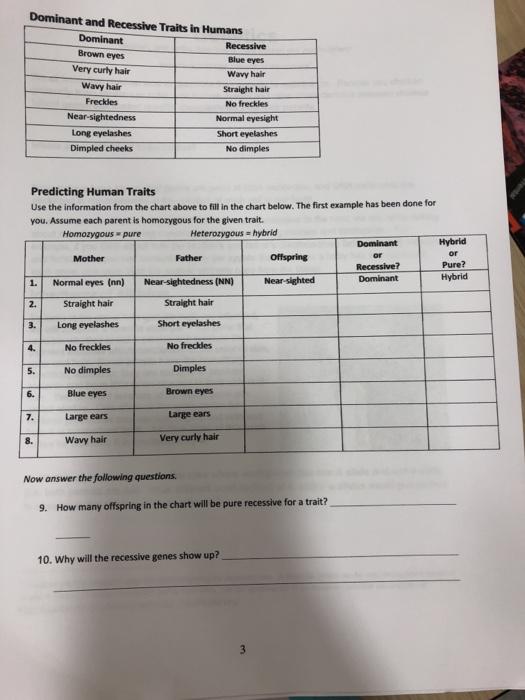 Solved Dominant and Recessive Traits in Humans Dominant | Chegg.com
