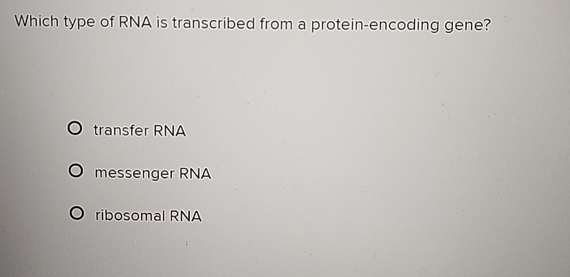 Solved Which type of RNA is transcribed from a | Chegg.com