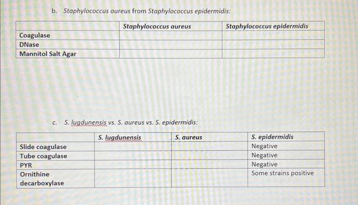 Solved 5. Biochemical tests can be used to differentiate the | Chegg.com
