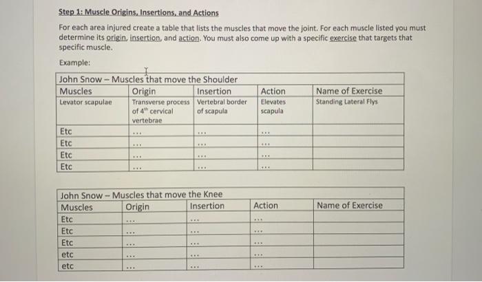 Solved Step 1: Muscle Origins. Insertions, and Actions For | Chegg.com
