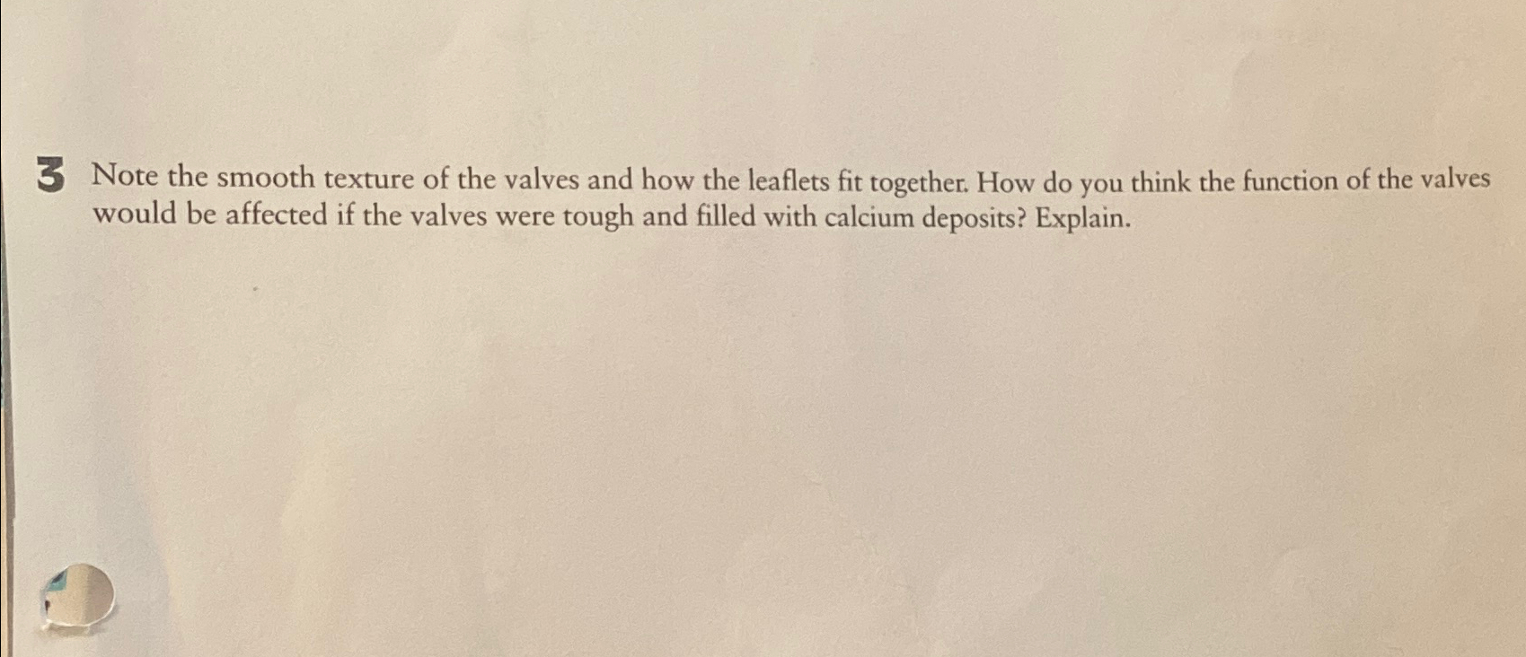 Solved 3 ﻿Note the smooth texture of the valves and how the | Chegg.com
