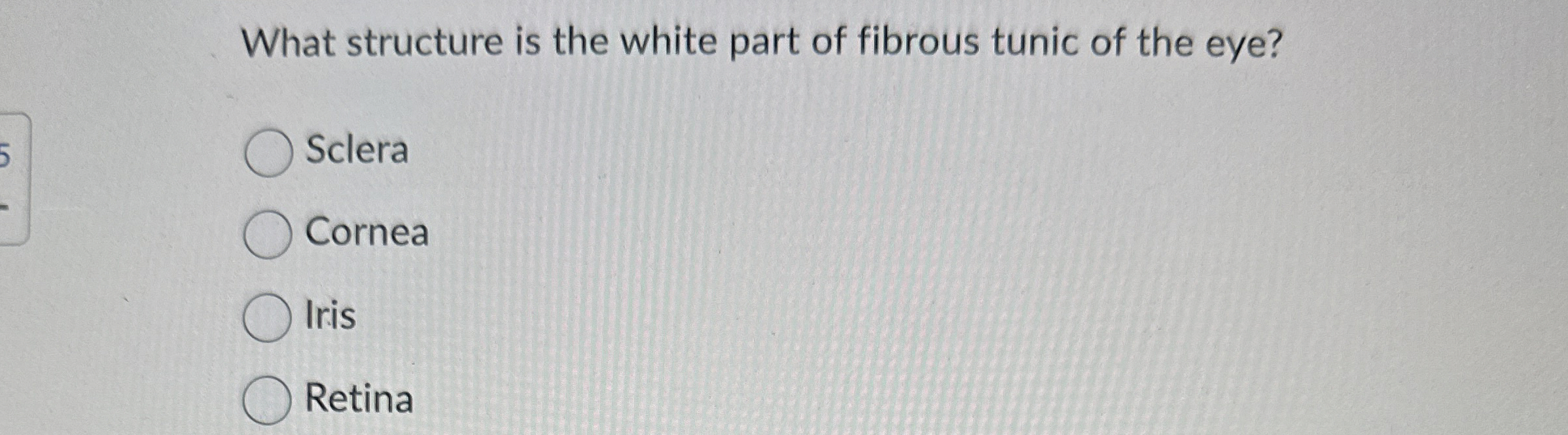 Solved What structure is the white part of fibrous tunic of | Chegg.com