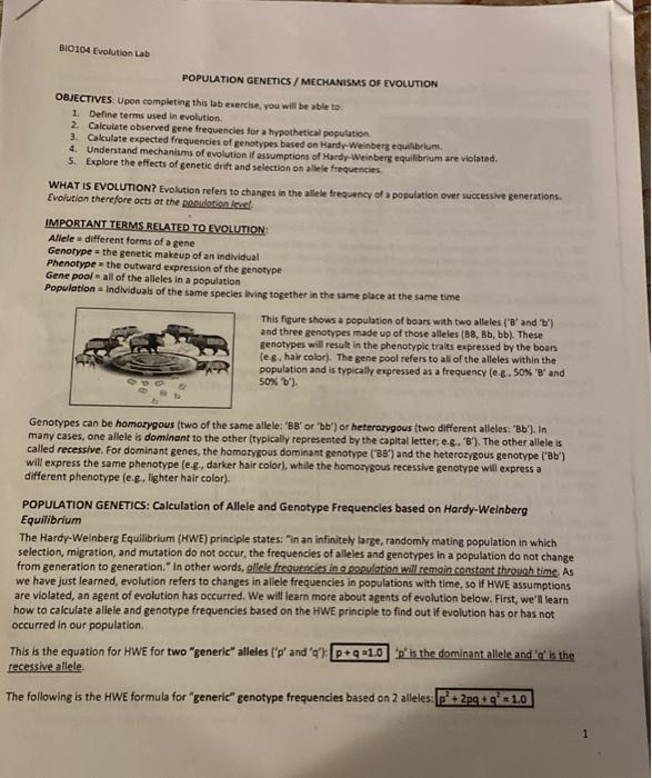 Solved BiOiod Evolution Lab POPULATION GENETICS/MECHANISMS | Chegg.com