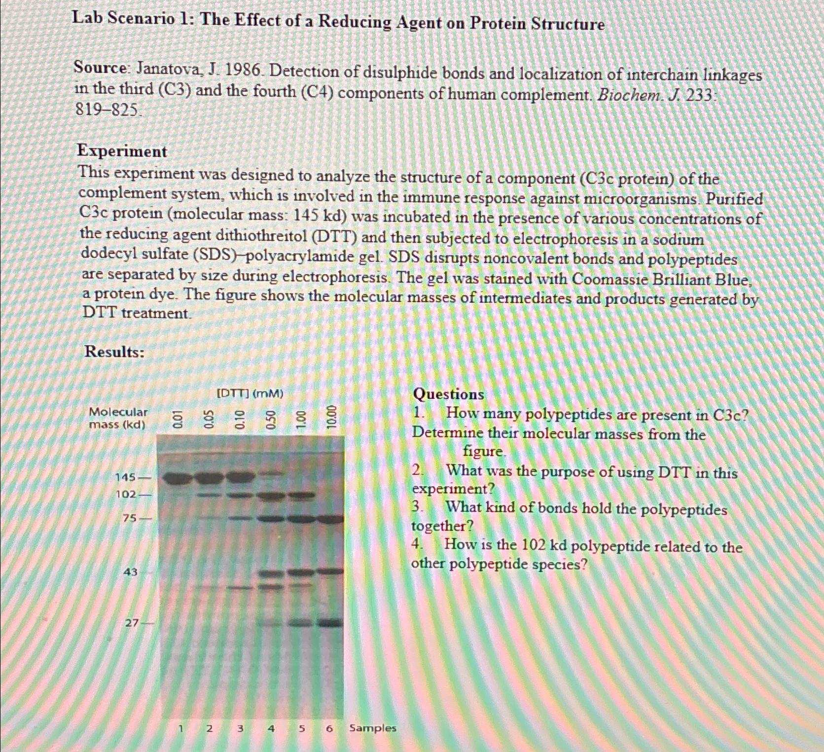 Solved This was assigned for Cell Bio-- ﻿we were encouraged | Chegg.com