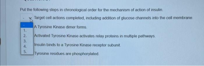 Solved Put the following steps in chronological order for | Chegg.com
