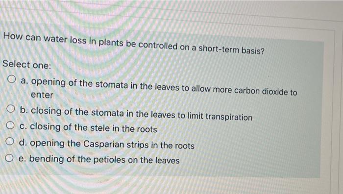 Solved How can water loss in plants be controlled on a | Chegg.com