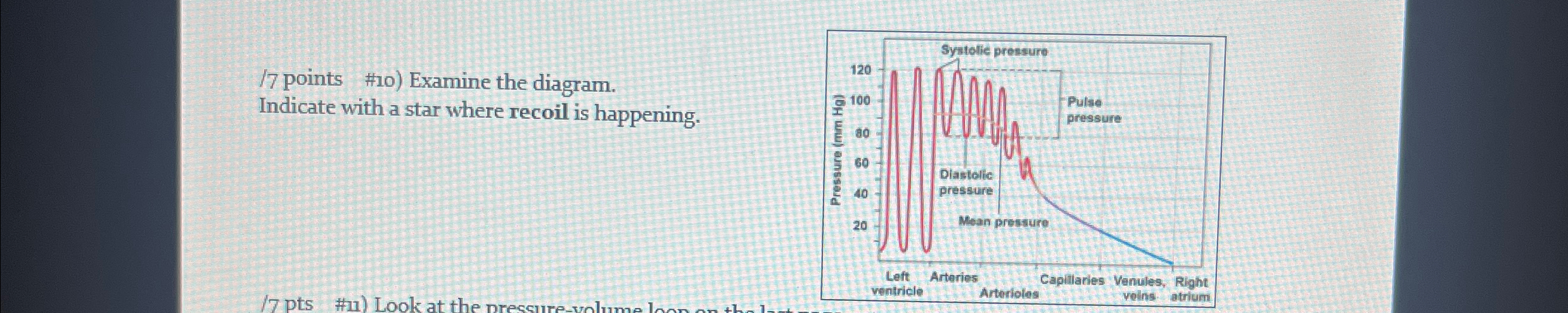 Solved /7 points #10) Examine the diagram. Indicate with a | Chegg.com Solved /7 points #10) Examine the diagram. Indicate with a | Chegg.com