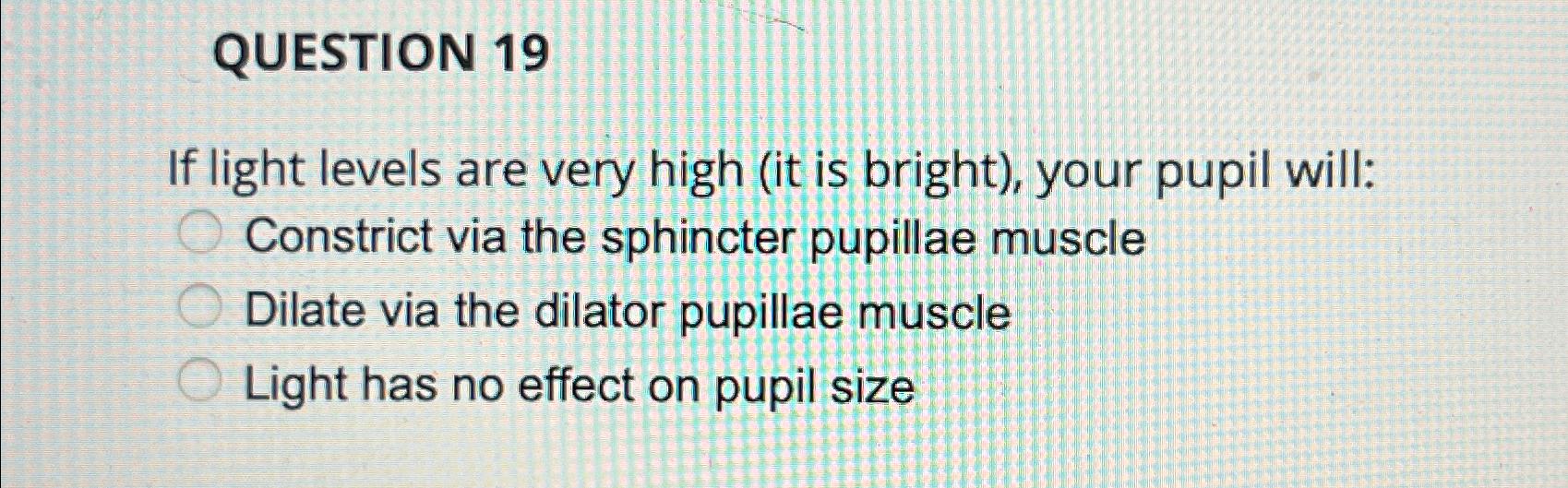 Solved QUESTION 19If light levels are very high (it is | Chegg.com Solved QUESTION 19If light levels are very high (it is | Chegg.com