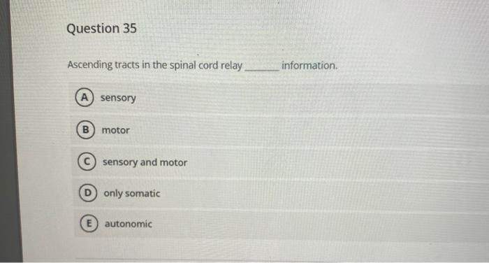 Solved Question 35 Ascending tracts in the spinal cord relay | Chegg.com