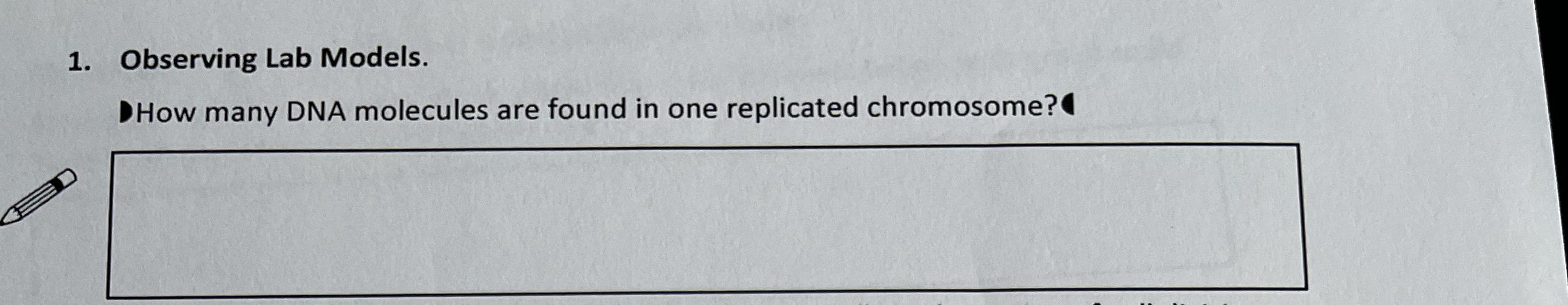 Solved Observing Lab Models.How many DNA molecules are found | Chegg.com