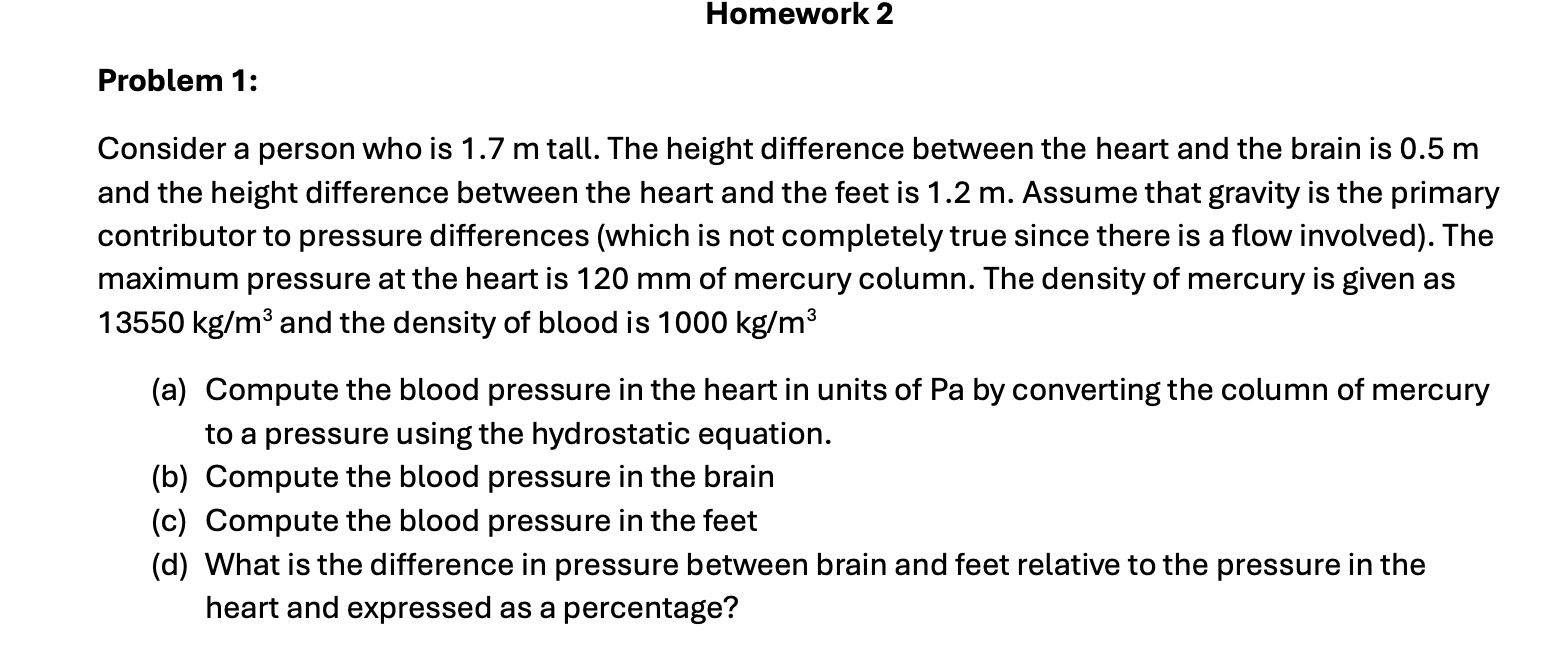 Solved Homework 2Problem 1:Consider a person who is 1.7 ﻿m | Chegg.com